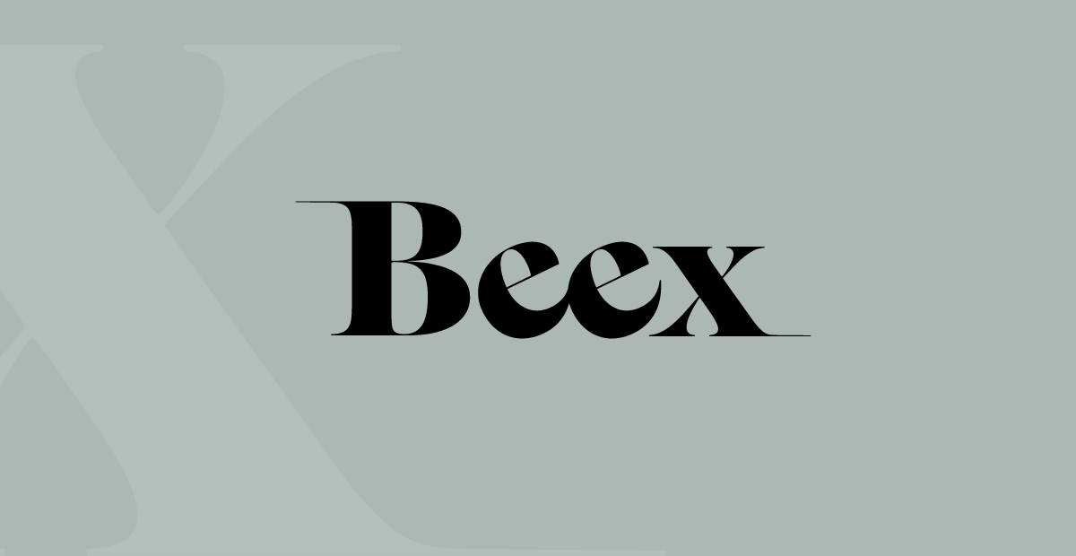 Ontdek ons getalenteerde team | BEEX Branding